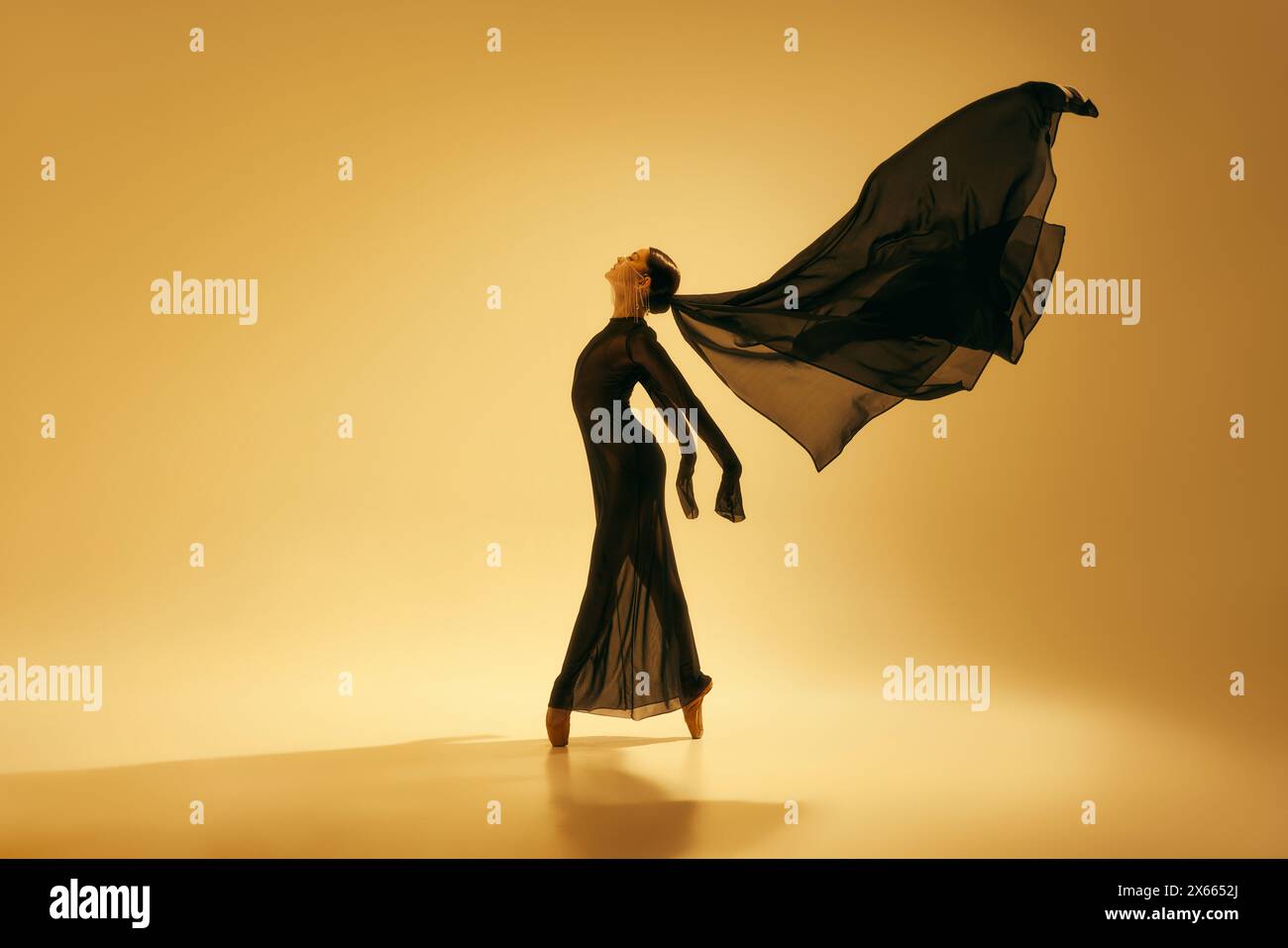 Contemporary ballet performance. Female dancer demonstrating powerful ...