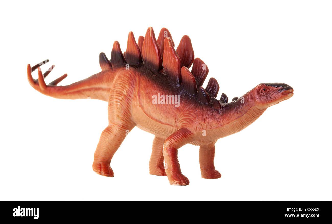 Realistic plastic model of a Stegosaurus dinosaur on white background ...