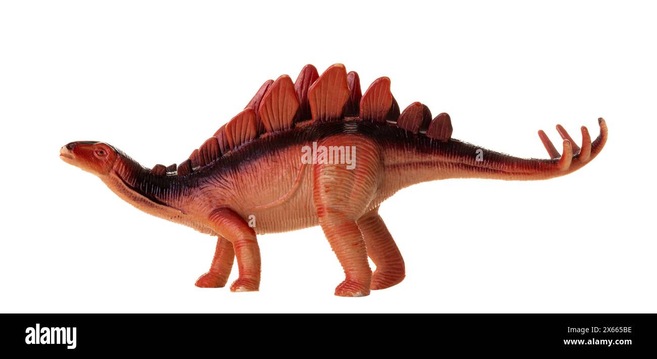 Realistic plastic model of a Stegosaurus dinosaur on white background ...