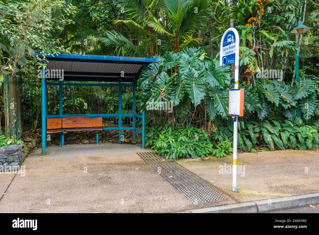 Cairns botanic gardens hi-res stock photography and images - Alamy