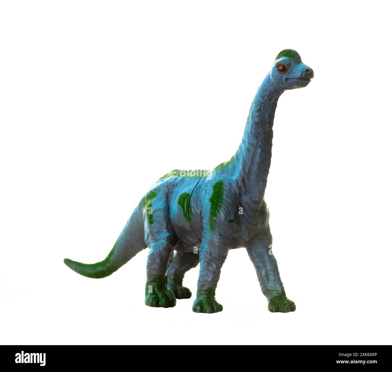 Dinosaur from the Jurassic Morrison Formation of North America Stock ...