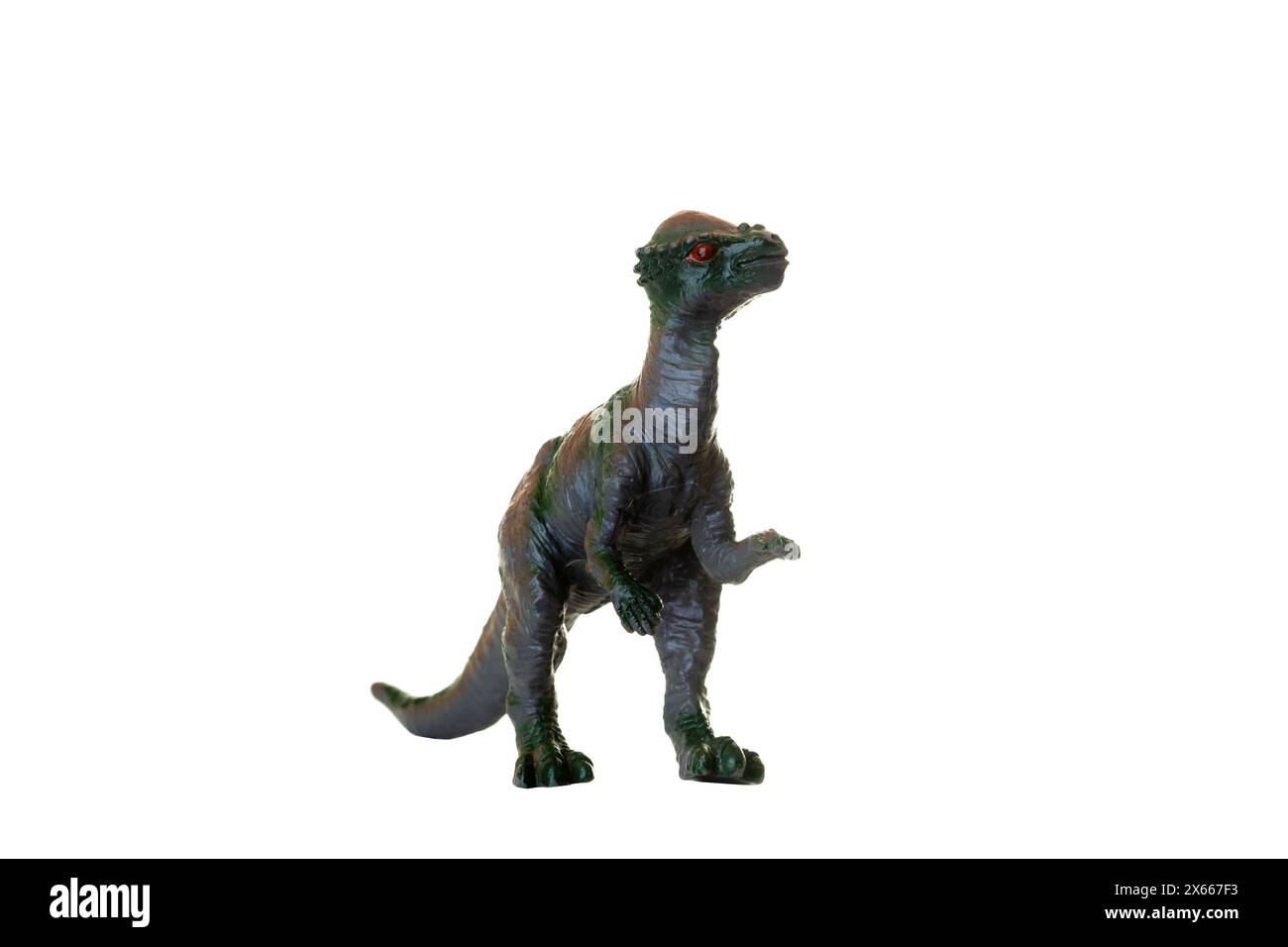 Toy replica of a pachycephalosaur isolated on a white background Stock ...