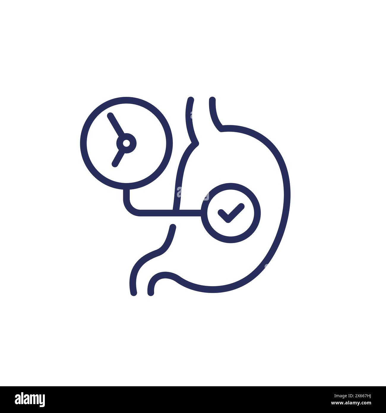 digestion, time to digest line icon with stomach Stock Vector Image ...