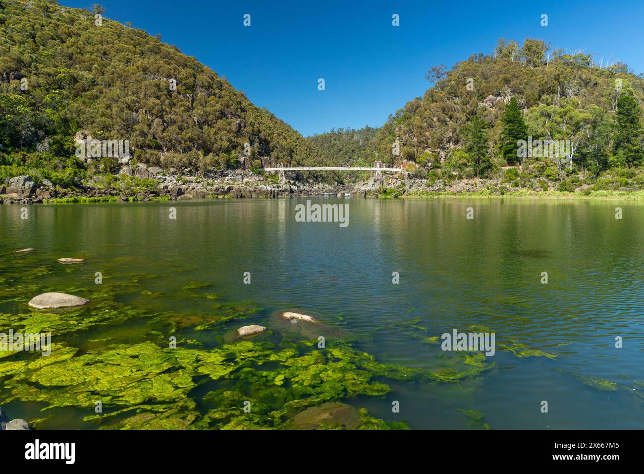 Cataract Gorge in Launceston, Tasmania, Australia. One of the park's ...