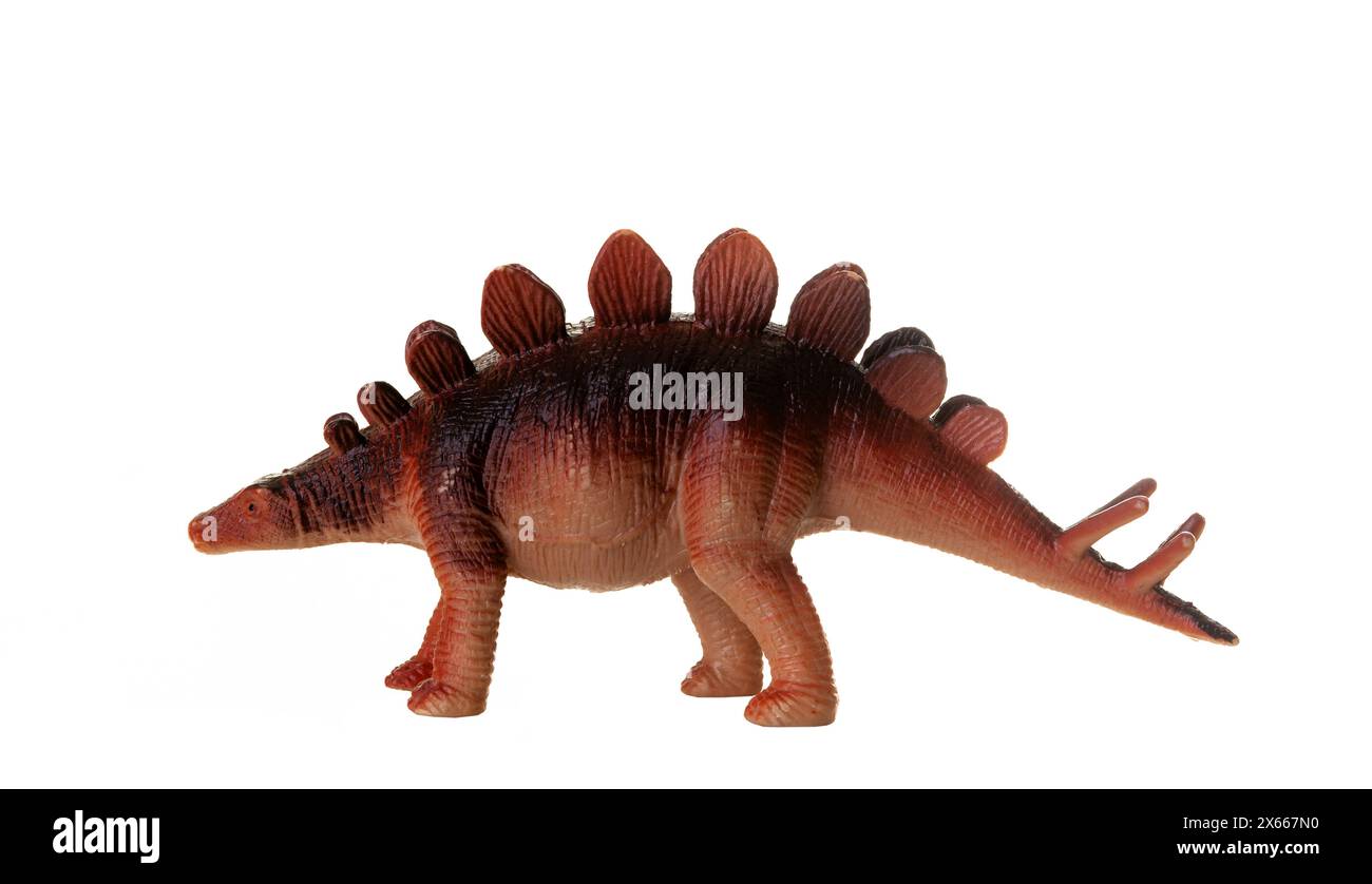 Realistic plastic model of a Stegosaurus dinosaur on white background ...
