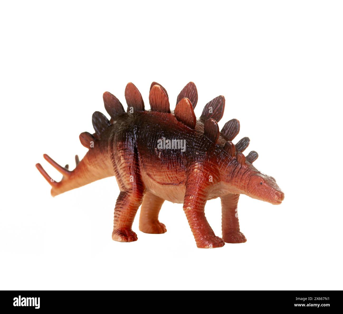 Realistic plastic model of a Stegosaurus dinosaur on white background ...