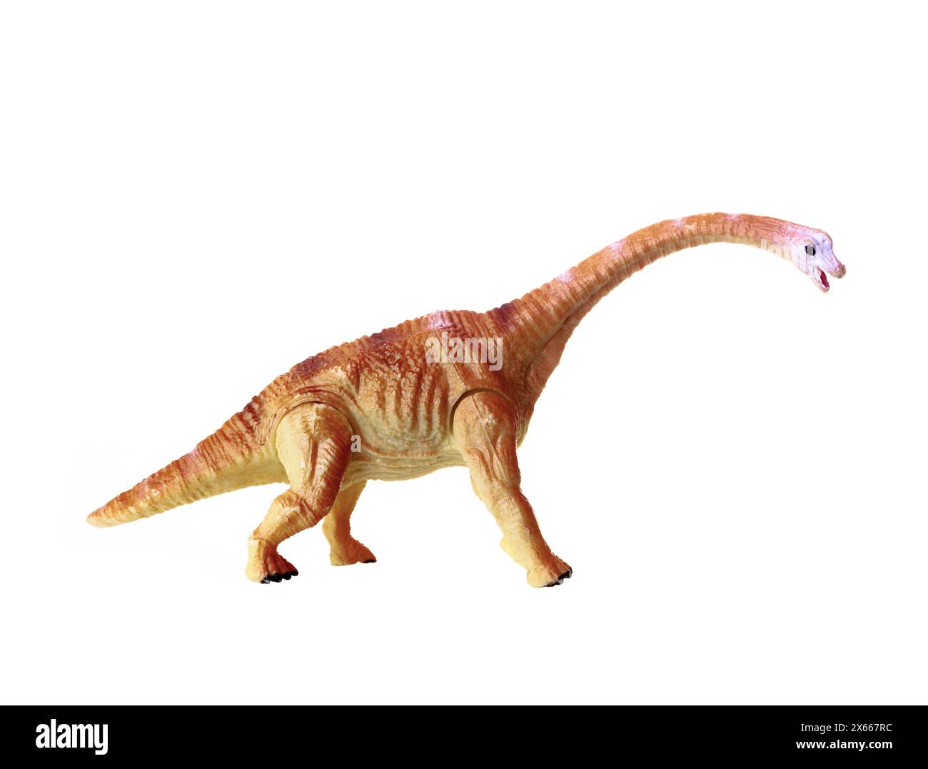 Realistic majestic mamenchisaurus dinosaur model toy replica for ...