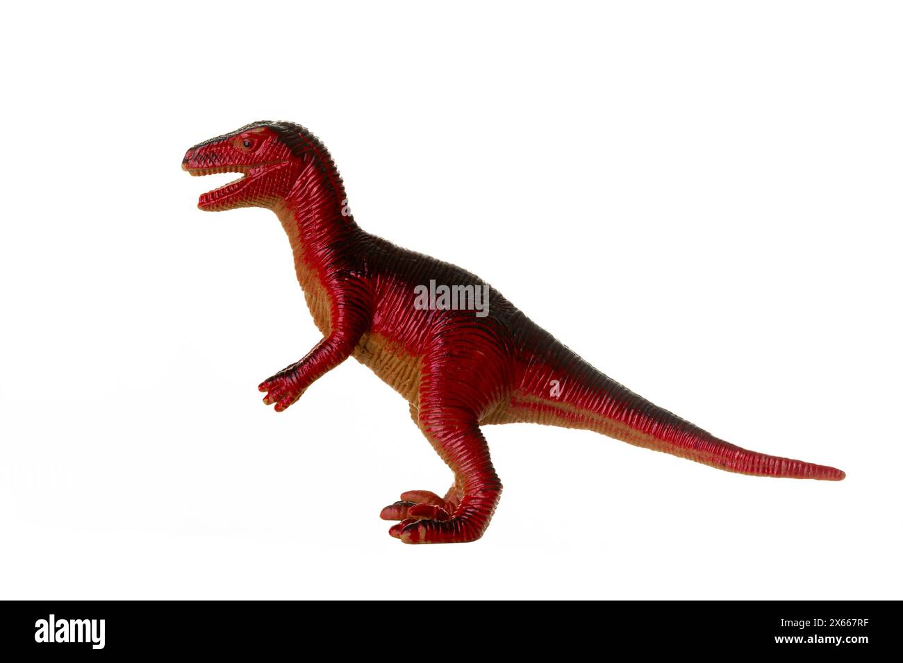 Detailed toy replica of a velociraptor dinosaur isolated on a white ...