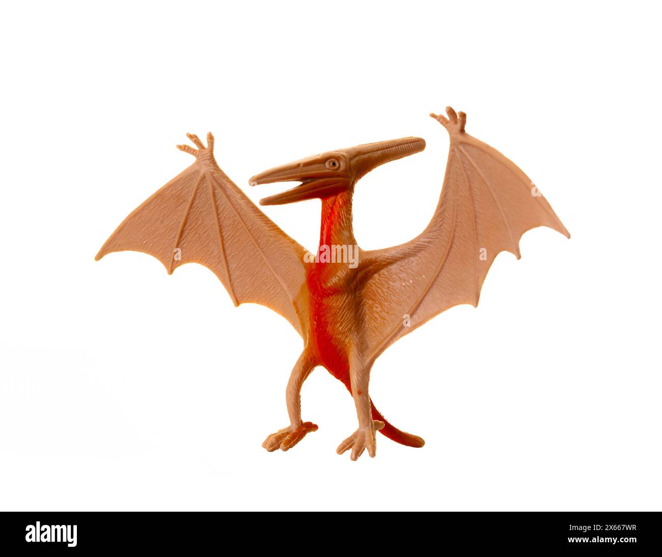 Plastic model of a pterosaur, a flying dinosaur, showcased against a ...
