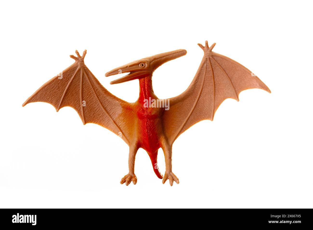 Plastic model of a pterosaur, a flying dinosaur, showcased against a ...