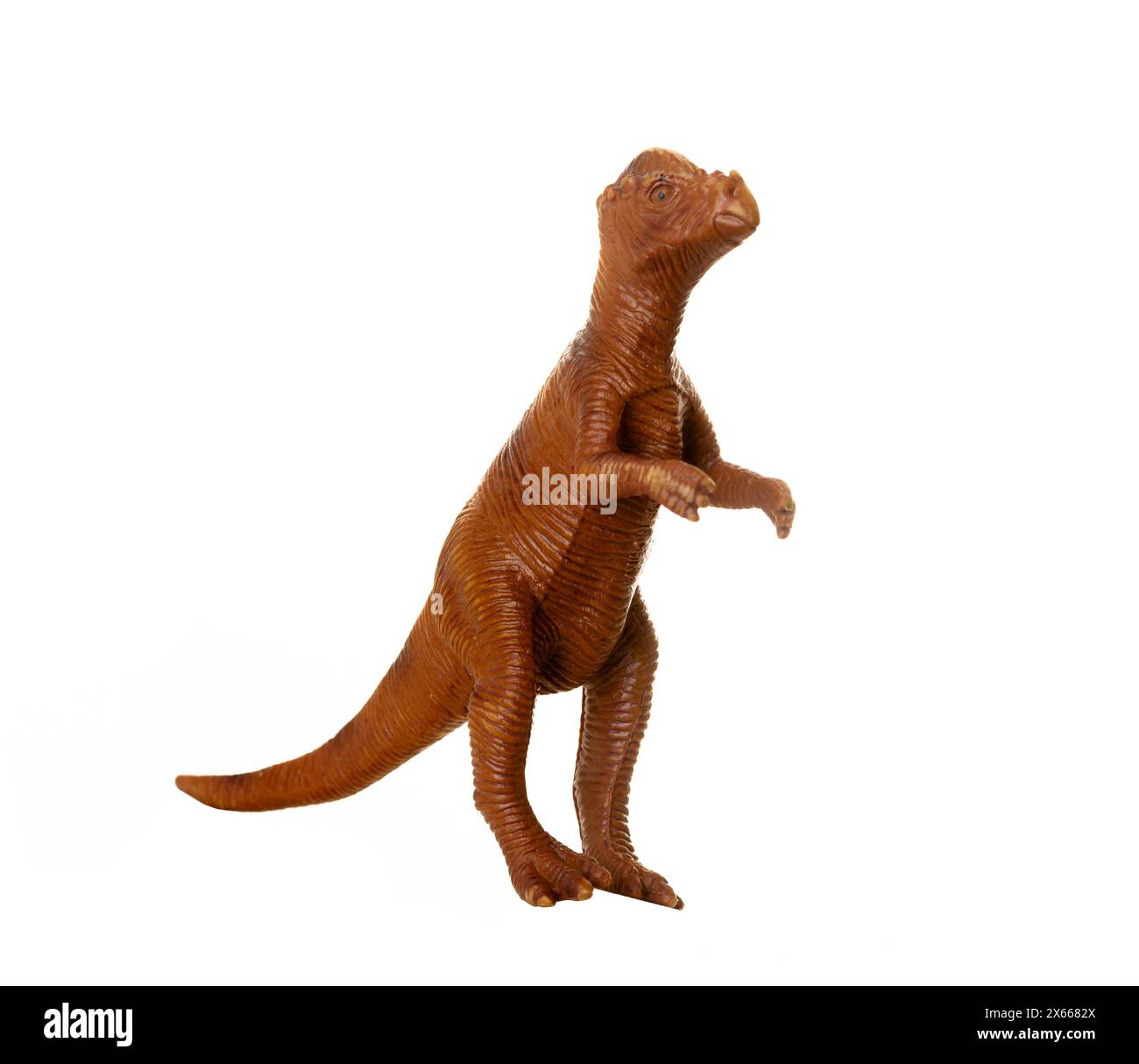 Toy replica of a pachycephalosaur isolated on a white background Stock ...