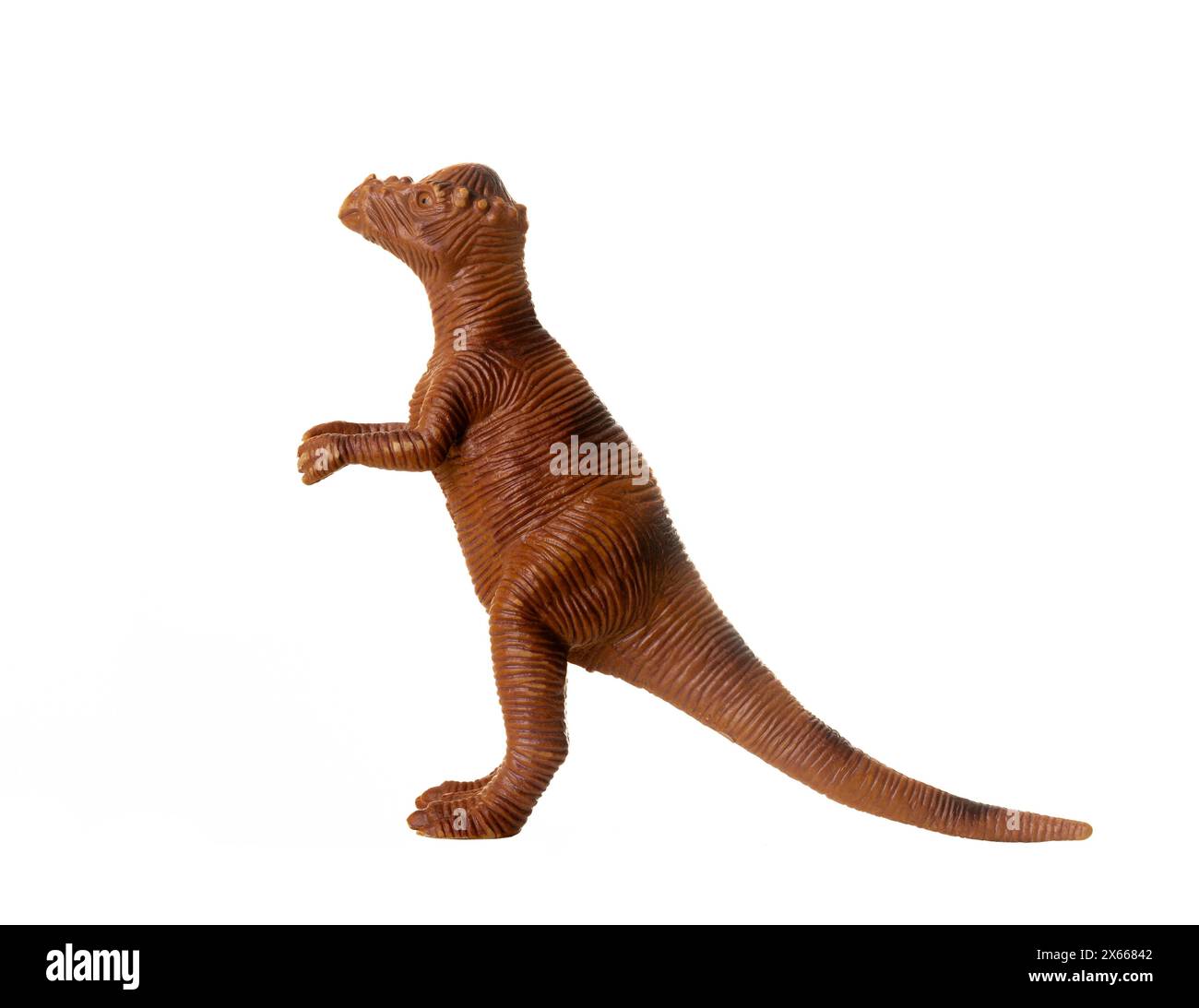 Toy replica of a pachycephalosaur isolated on a white background Stock ...