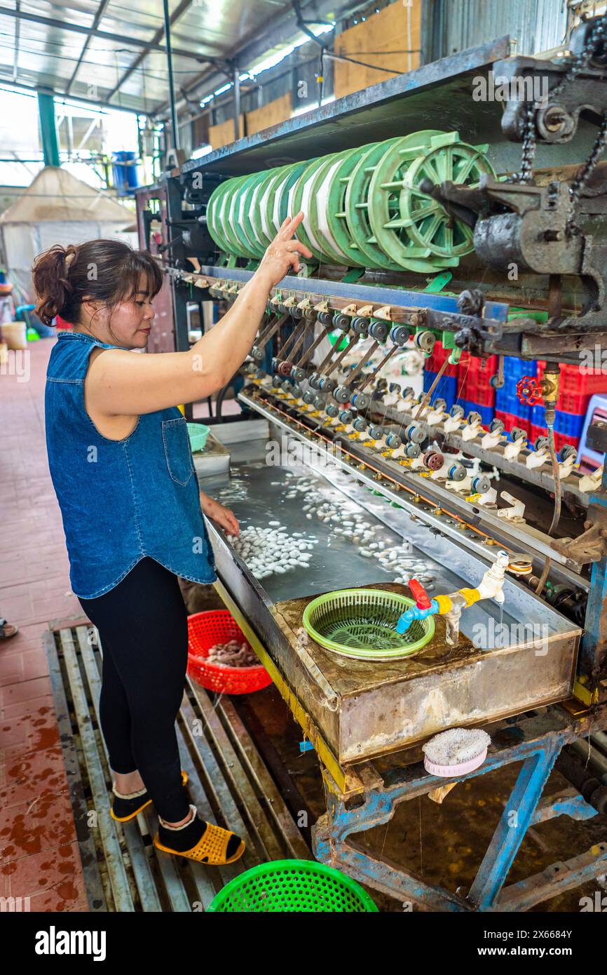 Woman reeling silk threads from hi-res stock photography and images - Alamy