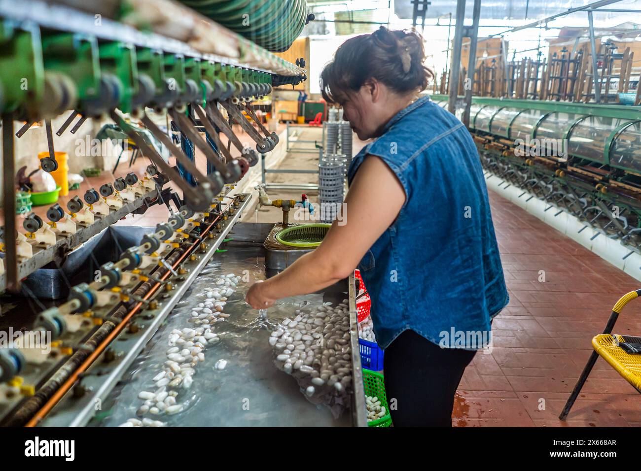 Woman reeling silk threads from hi-res stock photography and images - Alamy