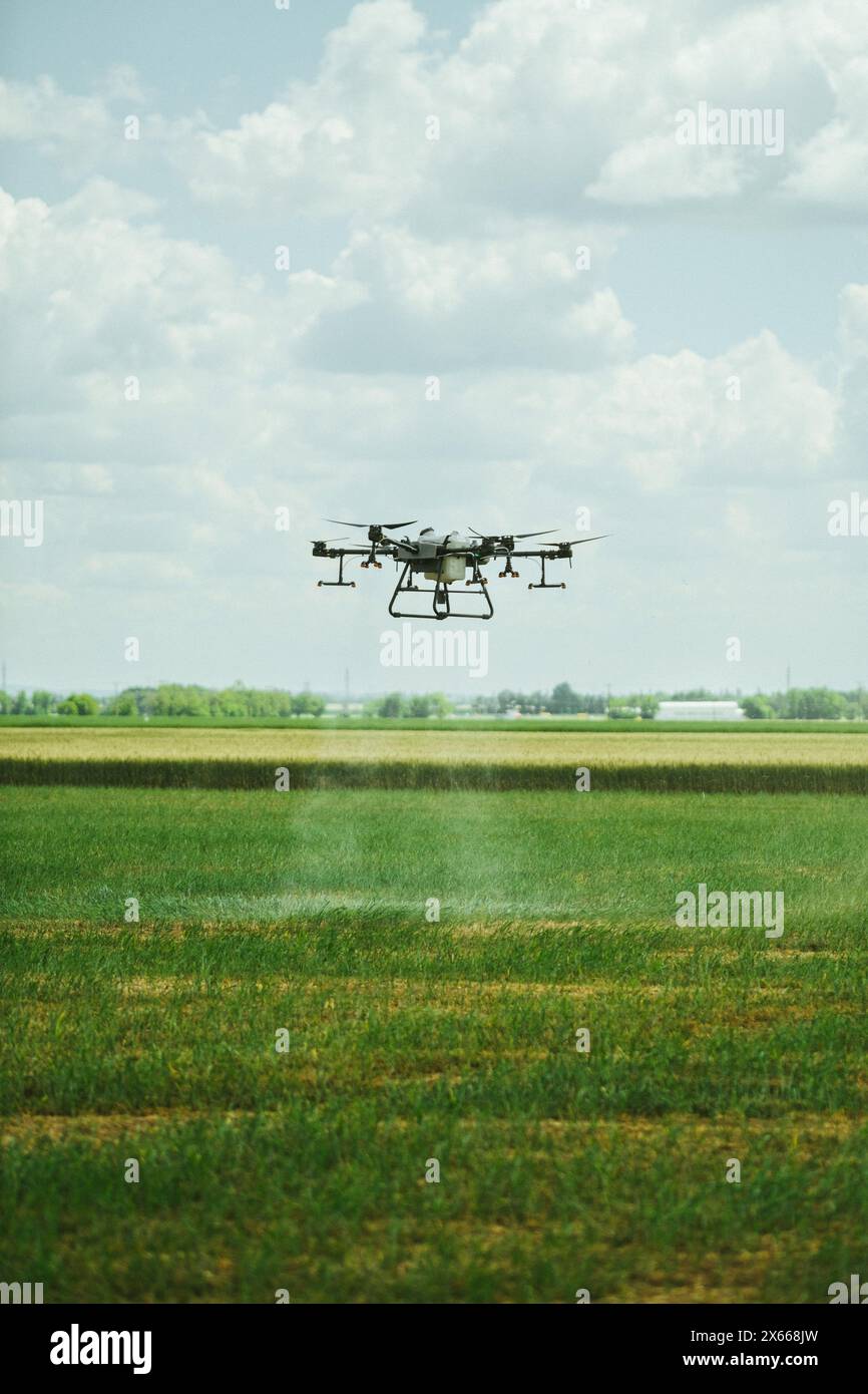 Agricultural drones spraying crops, distribute pesticides, herbicides ...