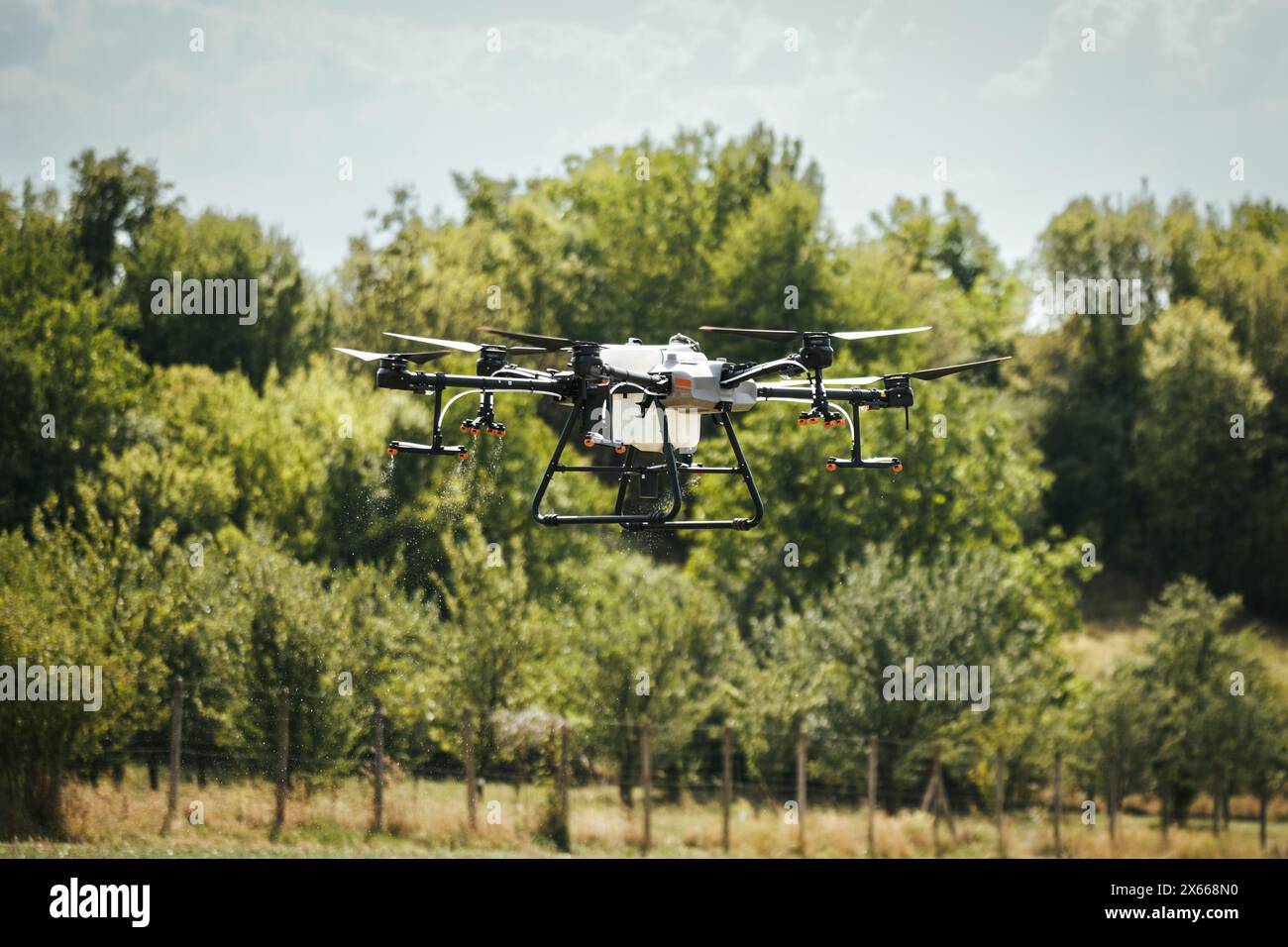 Agricultural drones spraying crops, distribute pesticides, herbicides ...