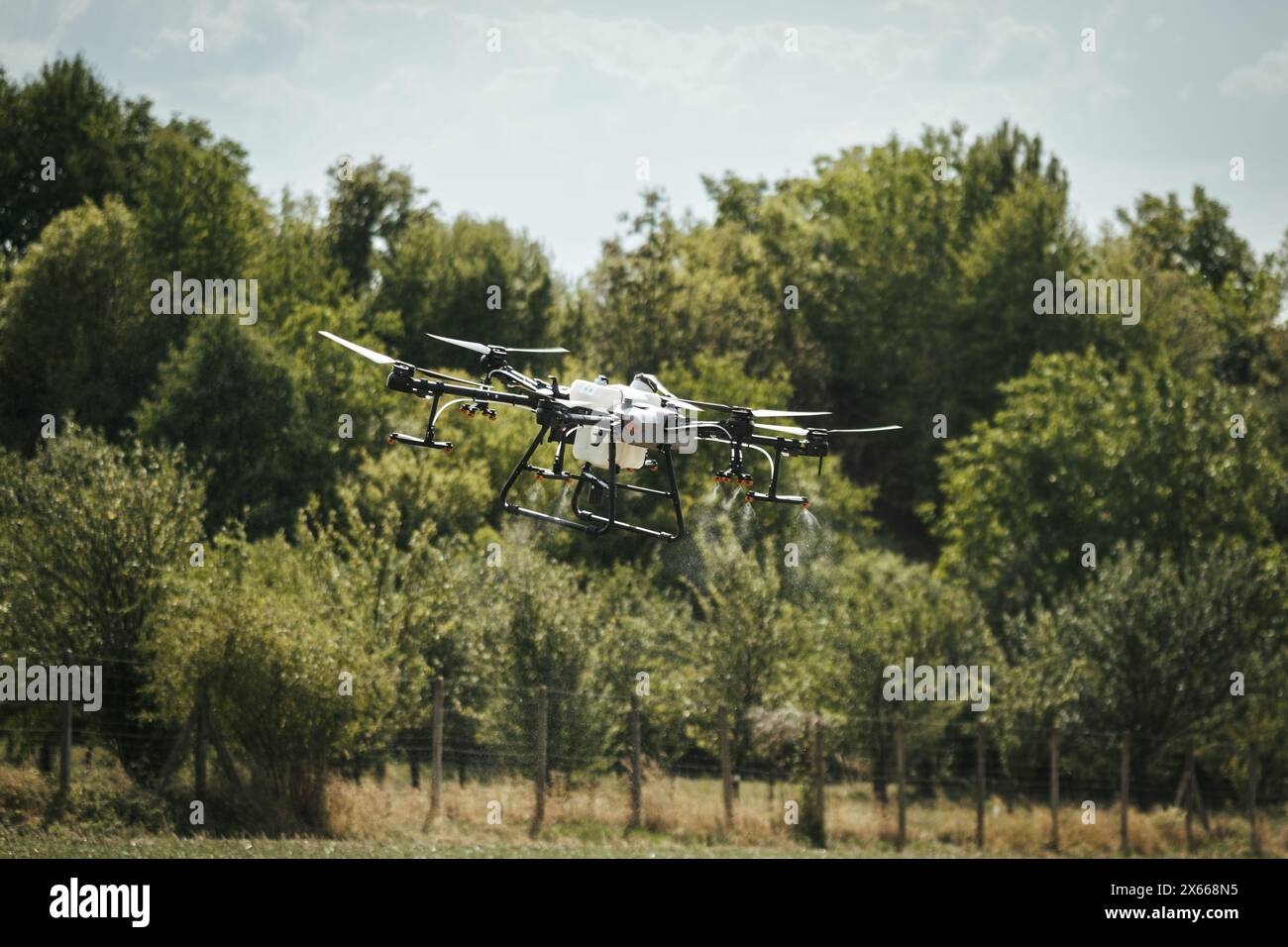 Agricultural drones spraying crops, distribute pesticides, herbicides ...