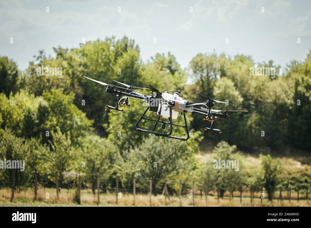 Agricultural drones spraying crops, distribute pesticides, herbicides ...