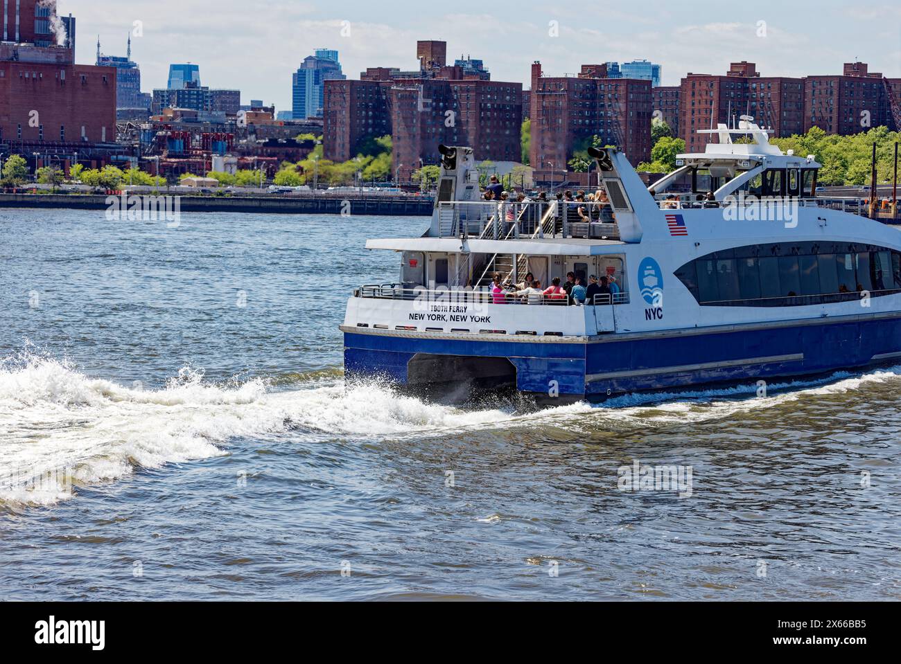 New York City Ferry, operated by Hornblower Cruises, had 38 whimsically ...