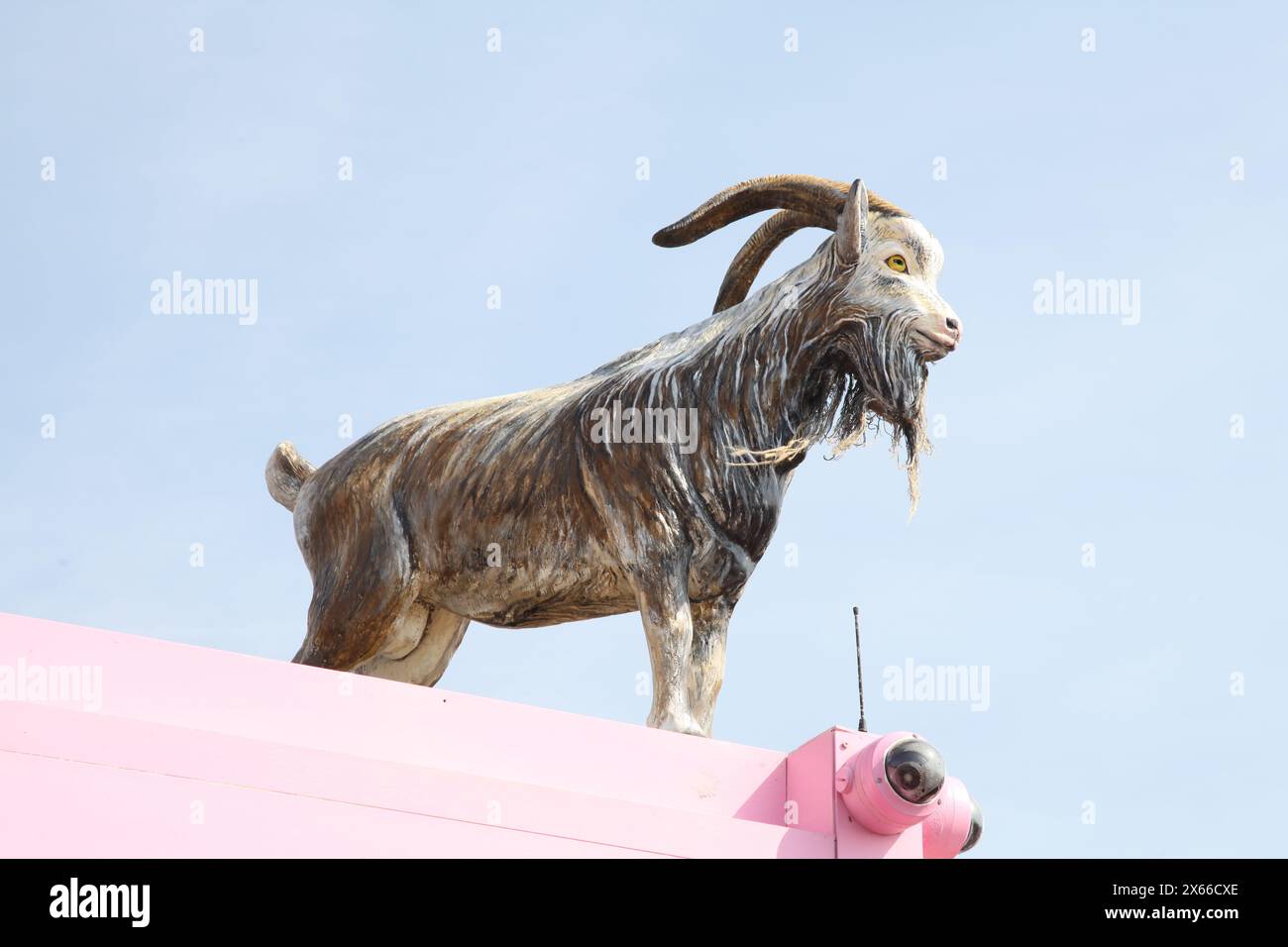 The Goat Ledge takeaway restaurant on beach promenade, St. Leonard on ...
