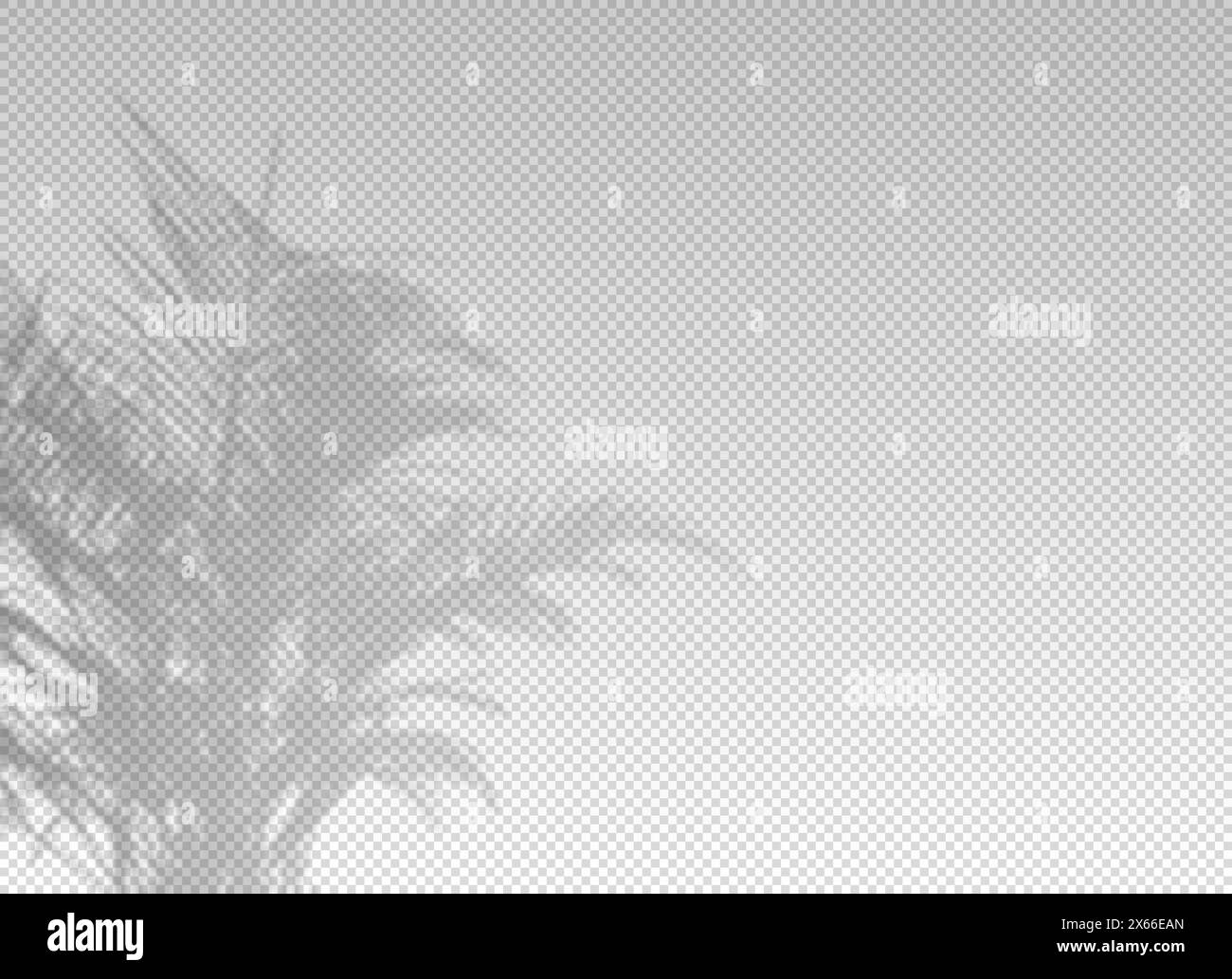Shadow of leaf from window. Shadows palm leaves isolated on transparent ...