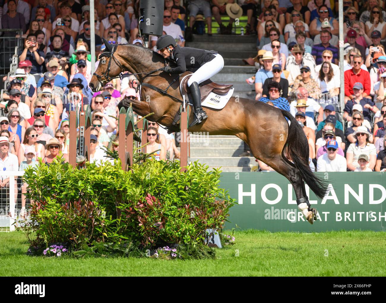 Caroline Powell and GREENACRES SPECIAL CAVALIER taking part in the Show ...