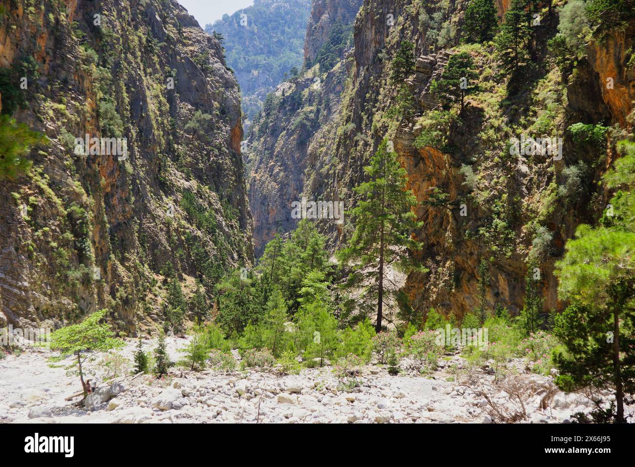 Samaria Gorge in Crete Stock Photo - Alamy