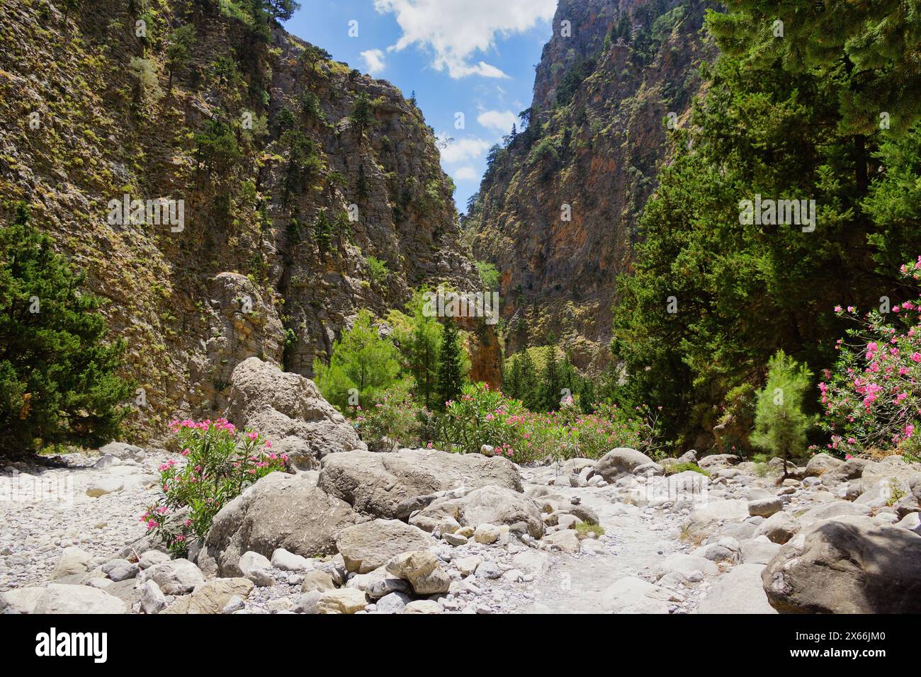 Samaria Gorge in Crete Stock Photo - Alamy