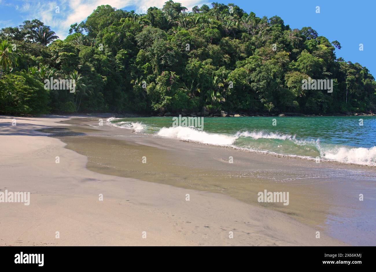 Idyllic Tropical Beach At Manuel Antonio National Park Costa Rica