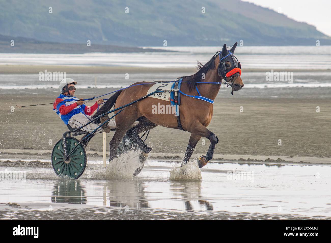 Harness racing on the beach at Harbour View, Kilbrittain, West Cork ...
