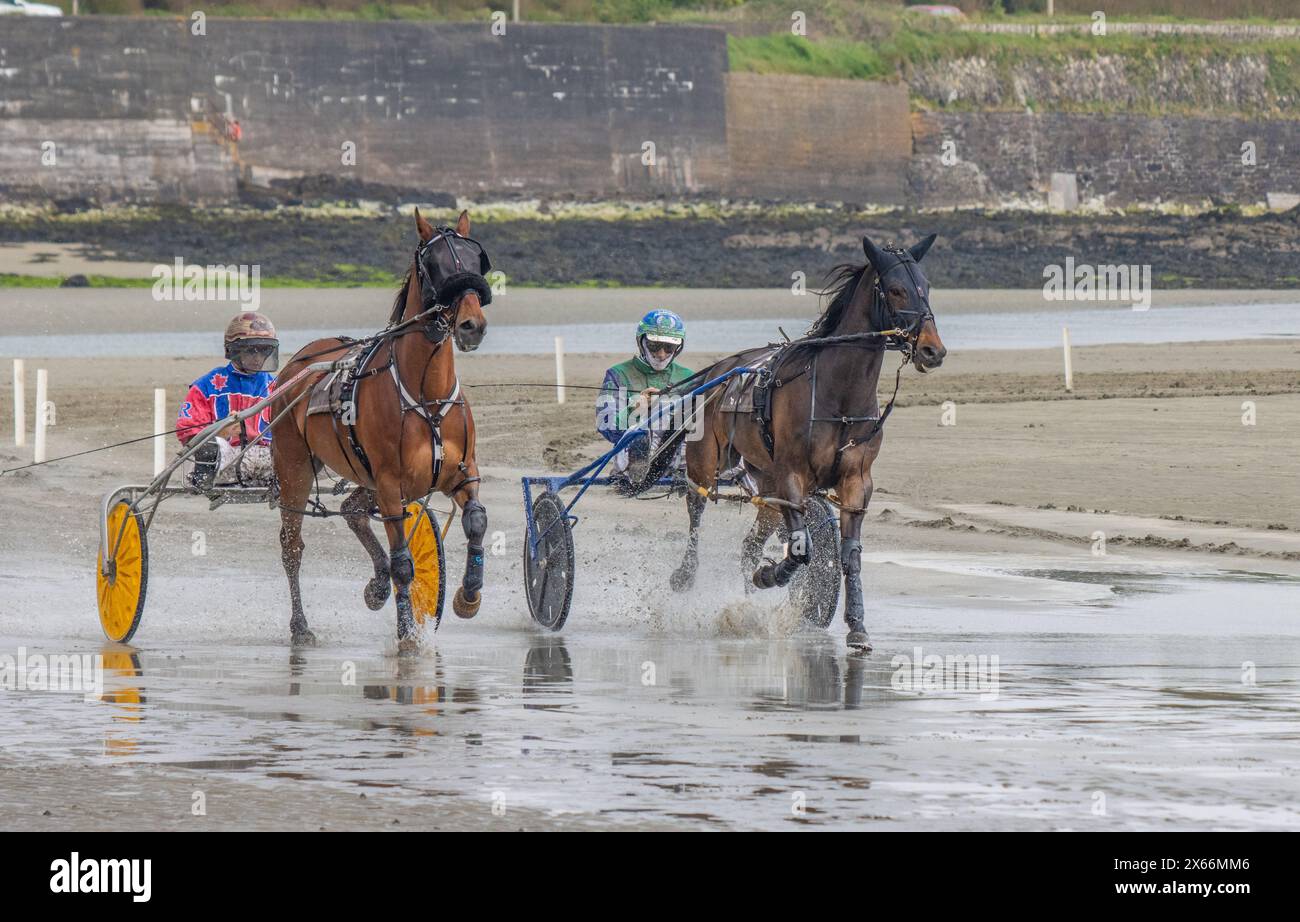 Harness racing on the beach at Harbour View, Kilbrittain, West Cork ...