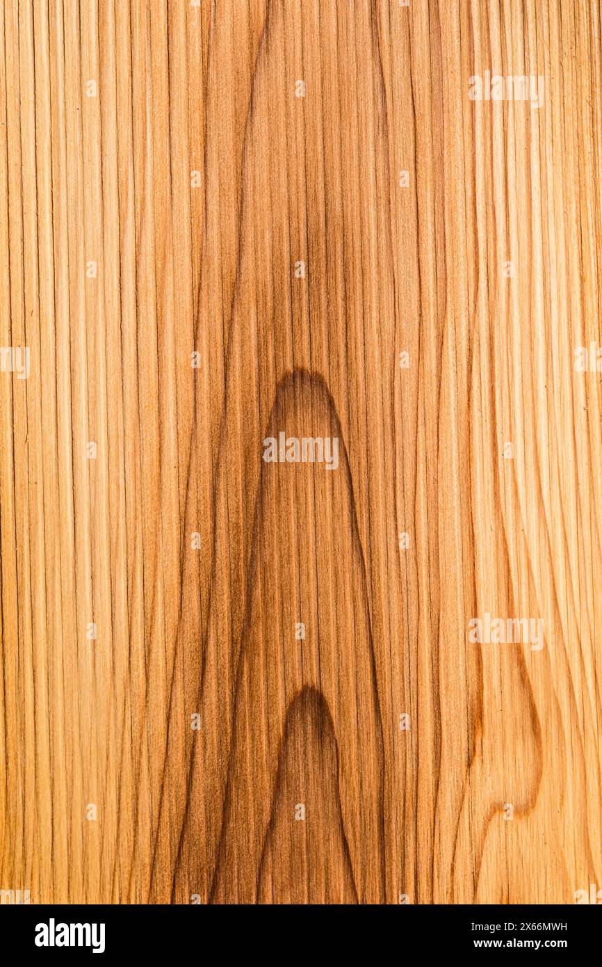 Plank cross section hi-res stock photography and images - Alamy