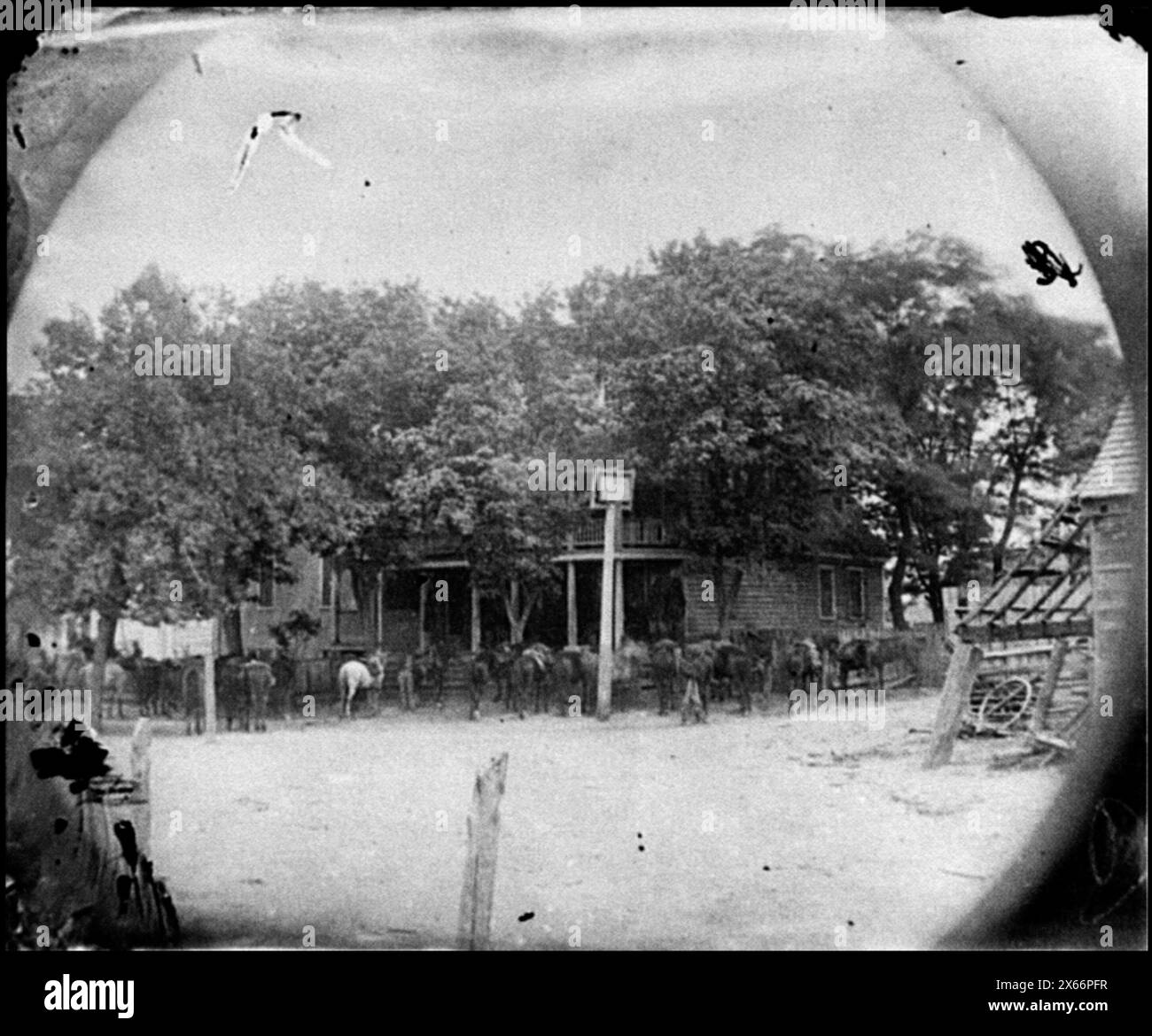 Cold Harbor, Va, vicinity. Cavalry horses outside the Old Church Hotel ...