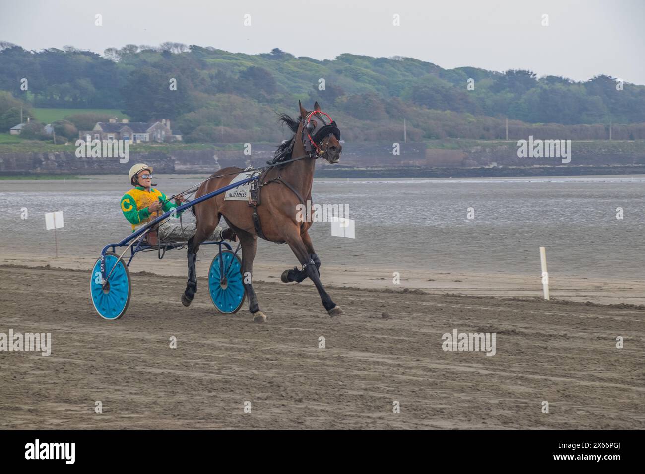 Harness racing on the beach at Harbour View, Kilbrittain, West Cork ...