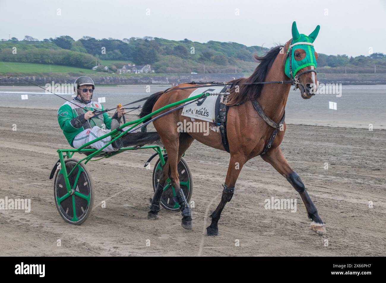 Harness racing on the beach at Harbour View, Kilbrittain, West Cork ...