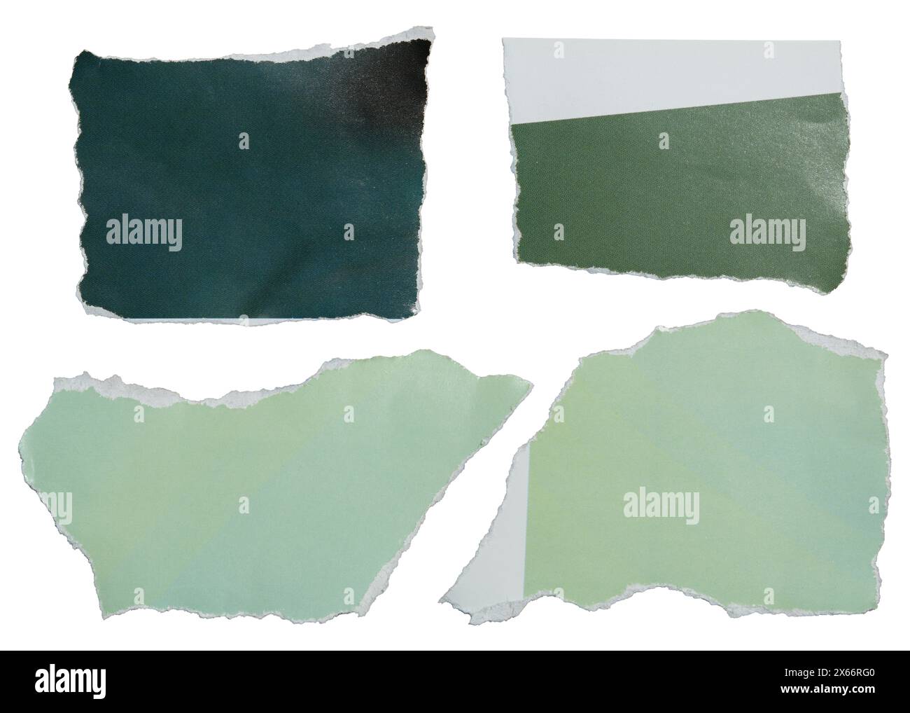 Torn green magazine papers for using as text background on white ...