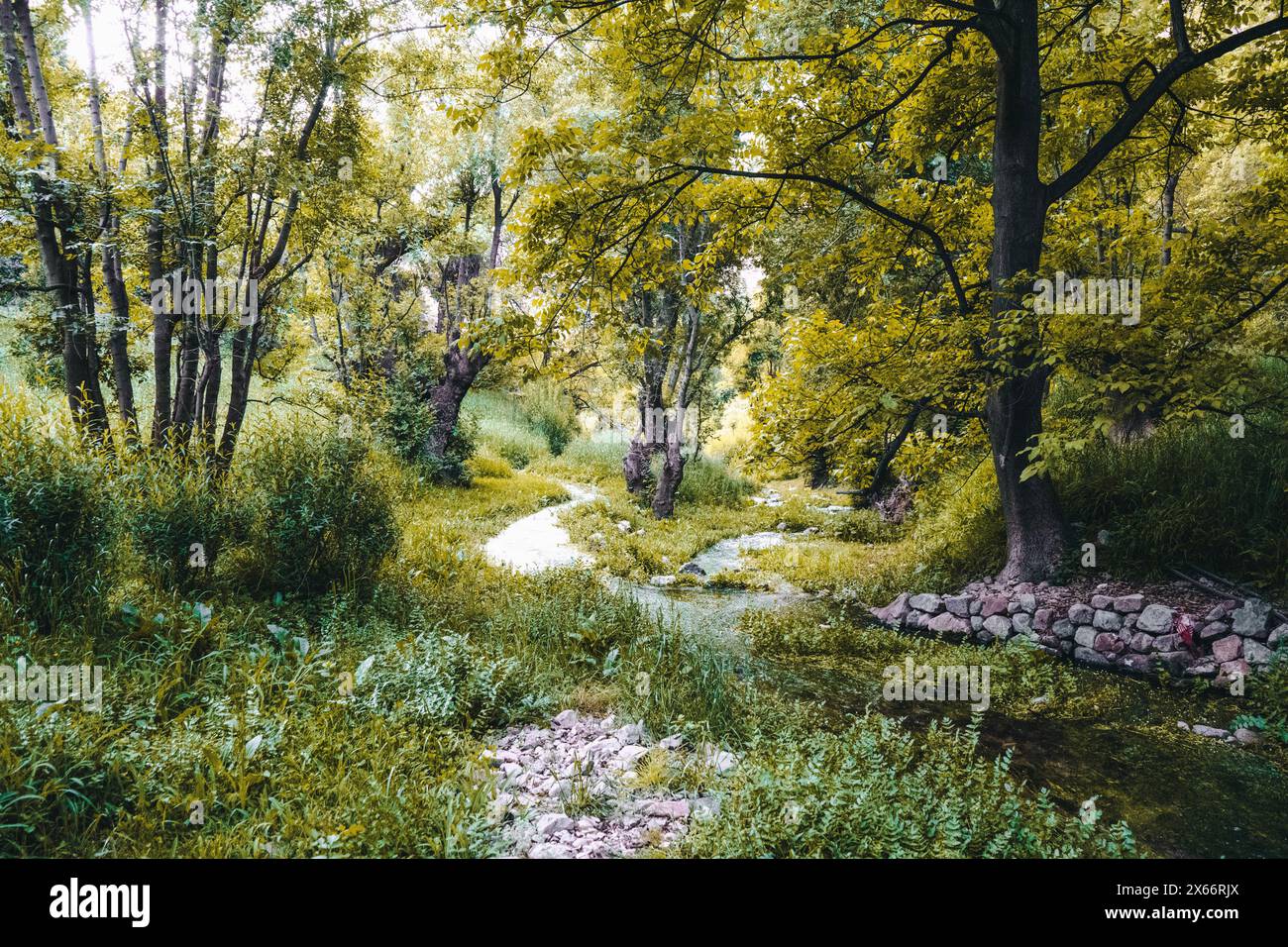 The nature of the village of Amsouzart in Morocco Stock Photo - Alamy