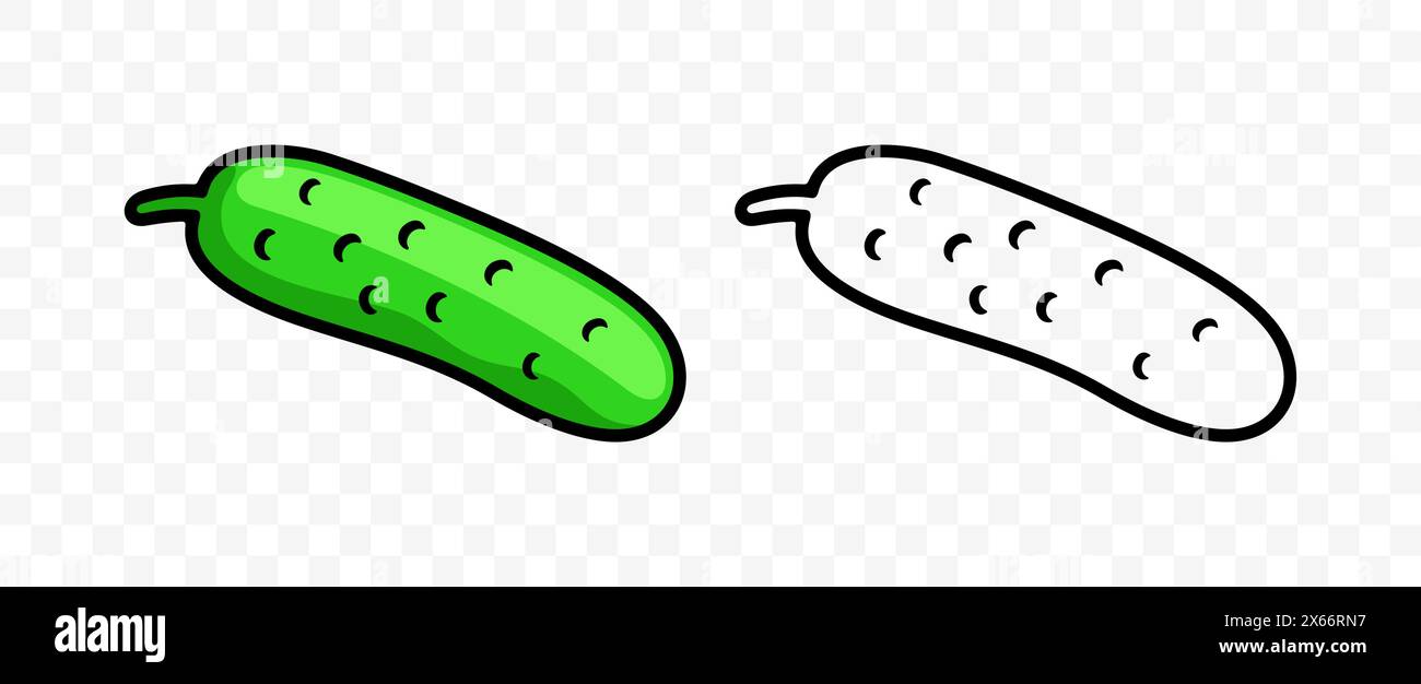 Cucumber, pickle, vegetable, graphic design. Gherkins and plant, fruit ...