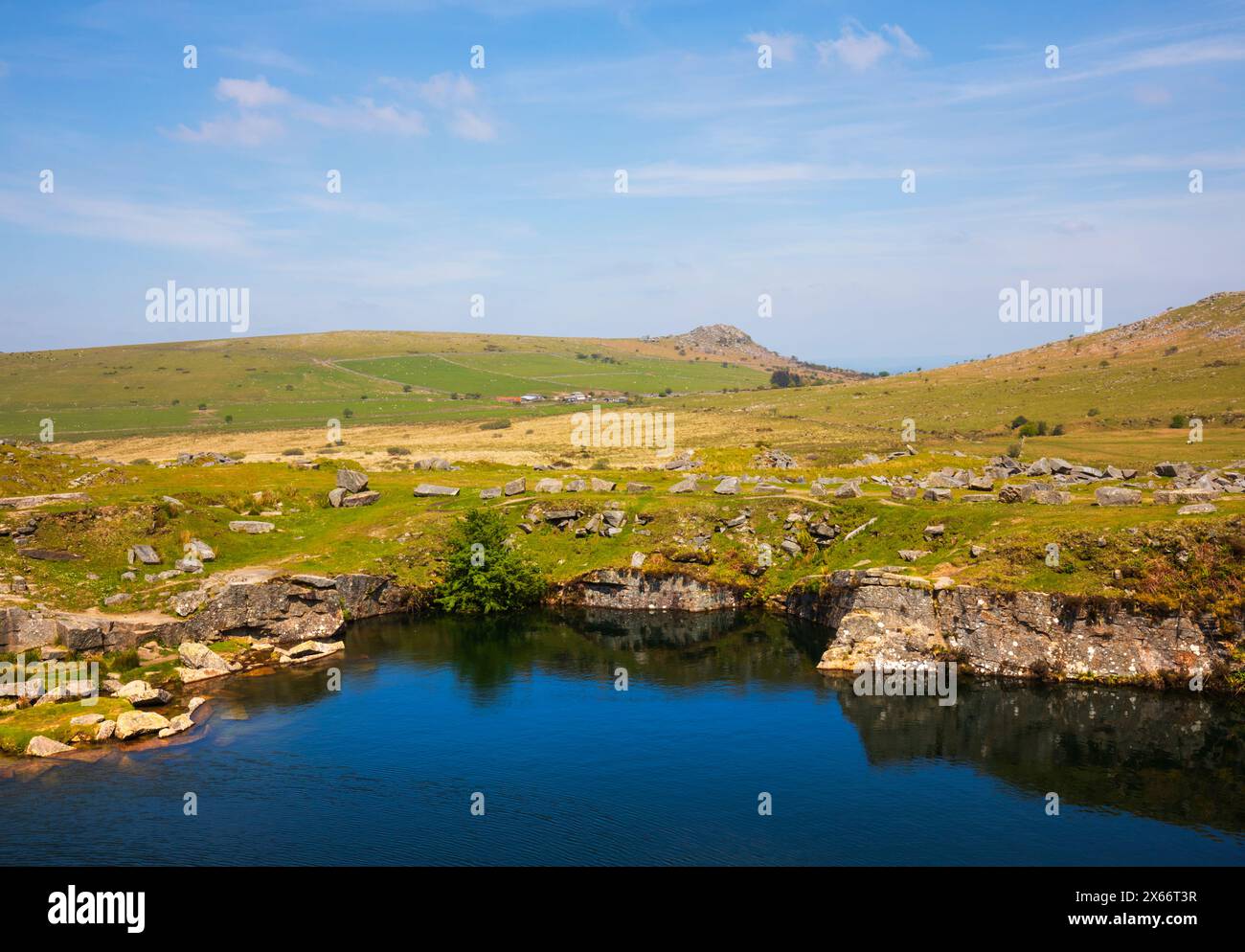 Golddiggins hi-res stock photography and images - Alamy