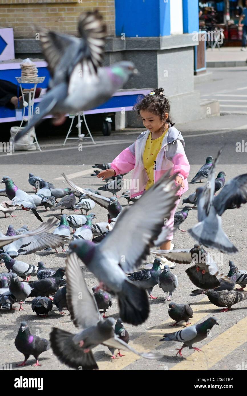 Yining, China's Xinjiang Uygur Autonomous Region. 11th May, 2024. A ...