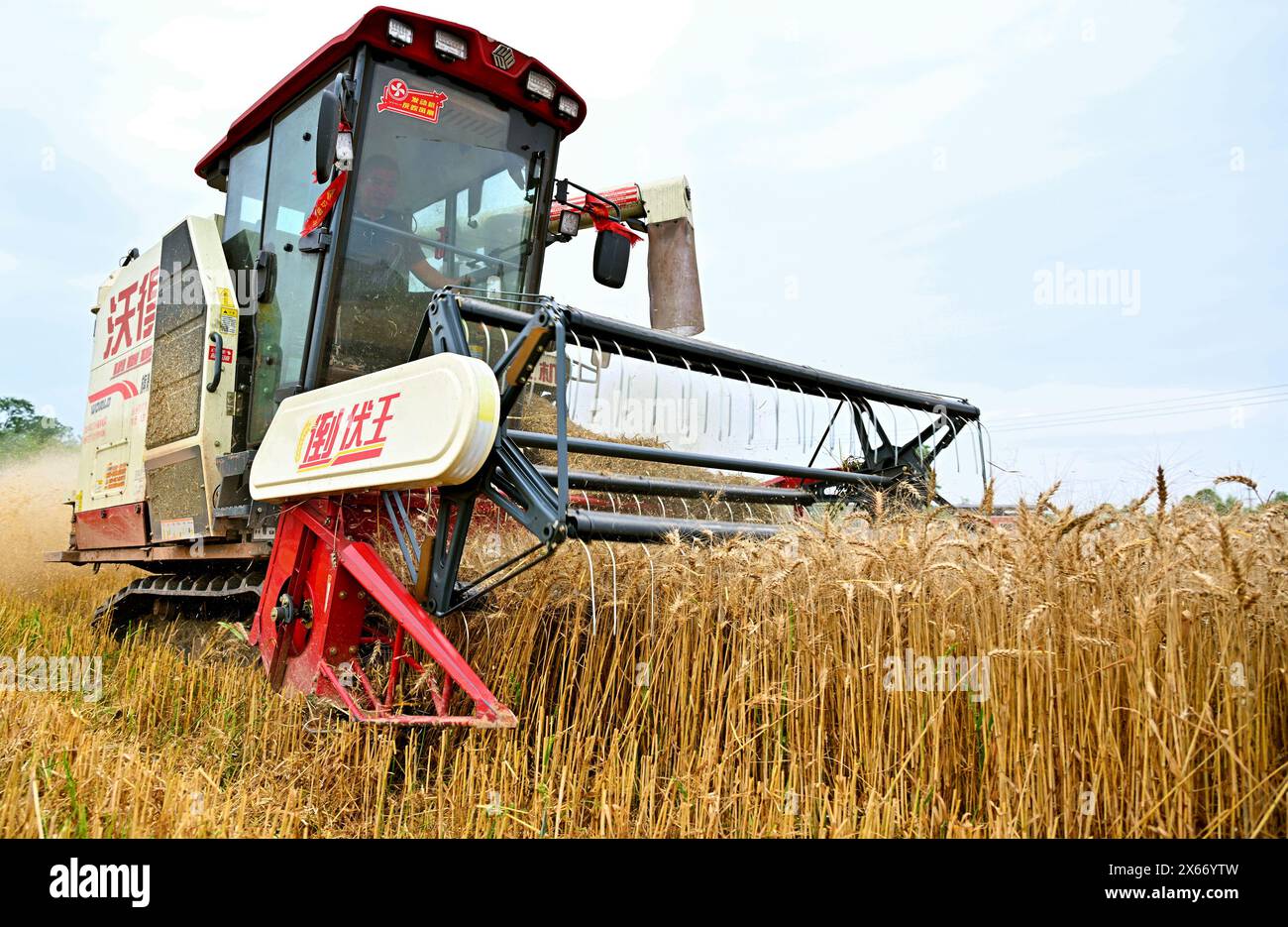 Renshou county hi-res stock photography and images - Alamy