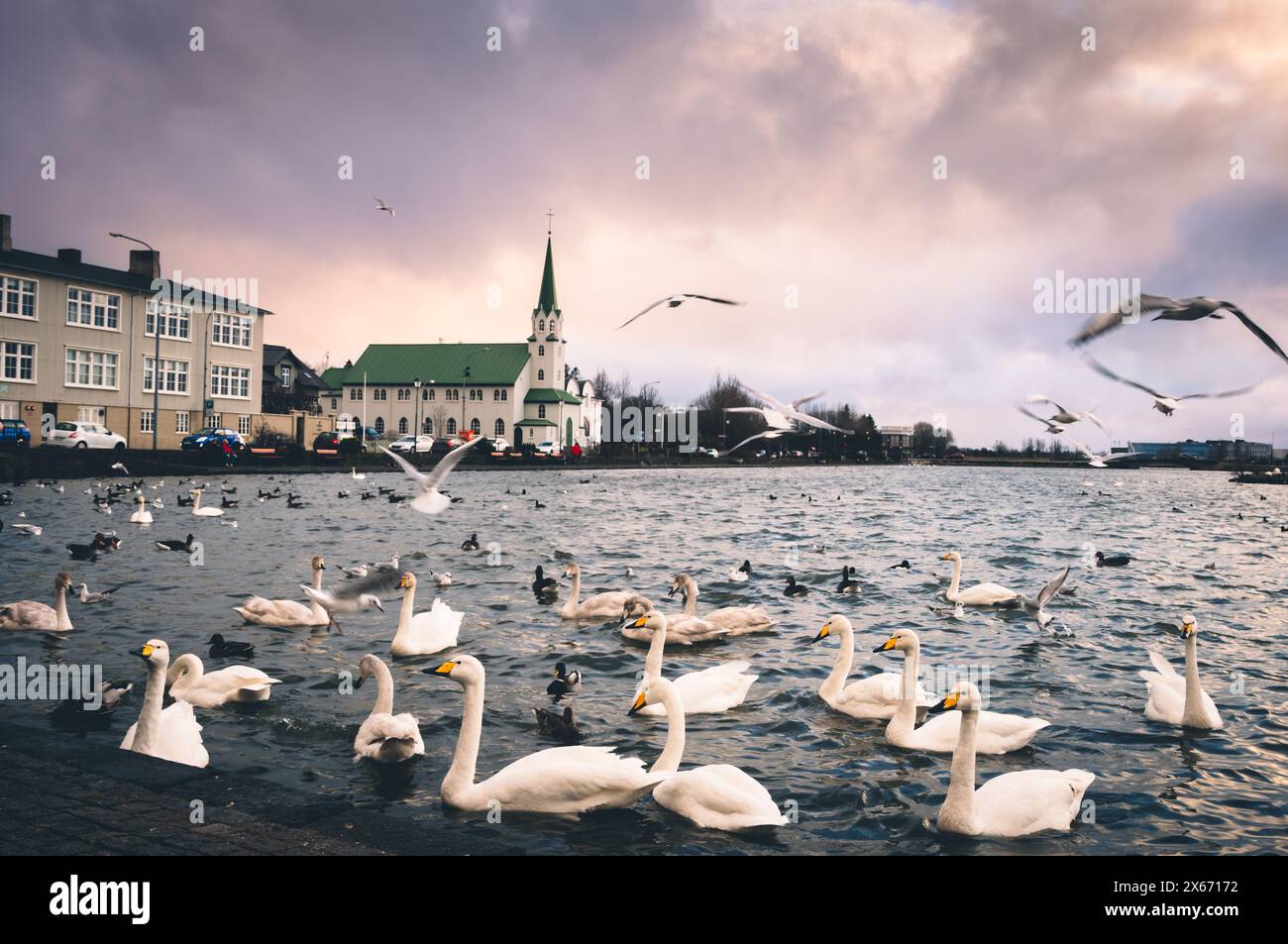 The Reykjavik Free Church is a church in the Free Lutheran congregation ...
