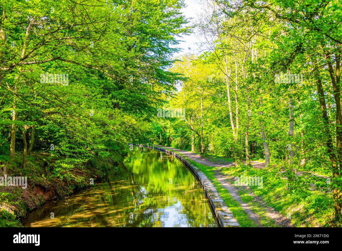 Hopwas Woods, Canal Stock Photo - Alamy