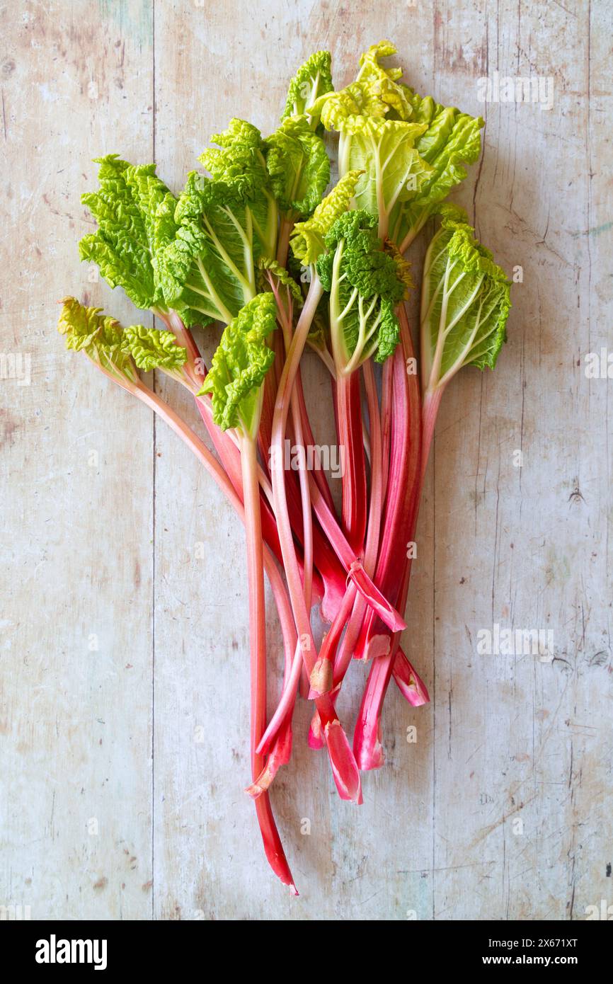 Freshly picked pink forced rhubarb on a light wooden surface Stock ...