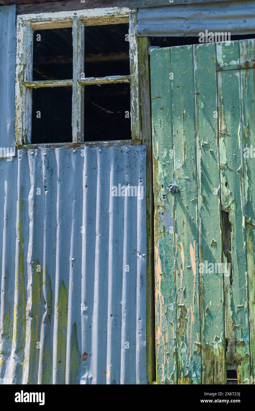 Old wooden door with peeling green paint on an old tin shed with a ...
