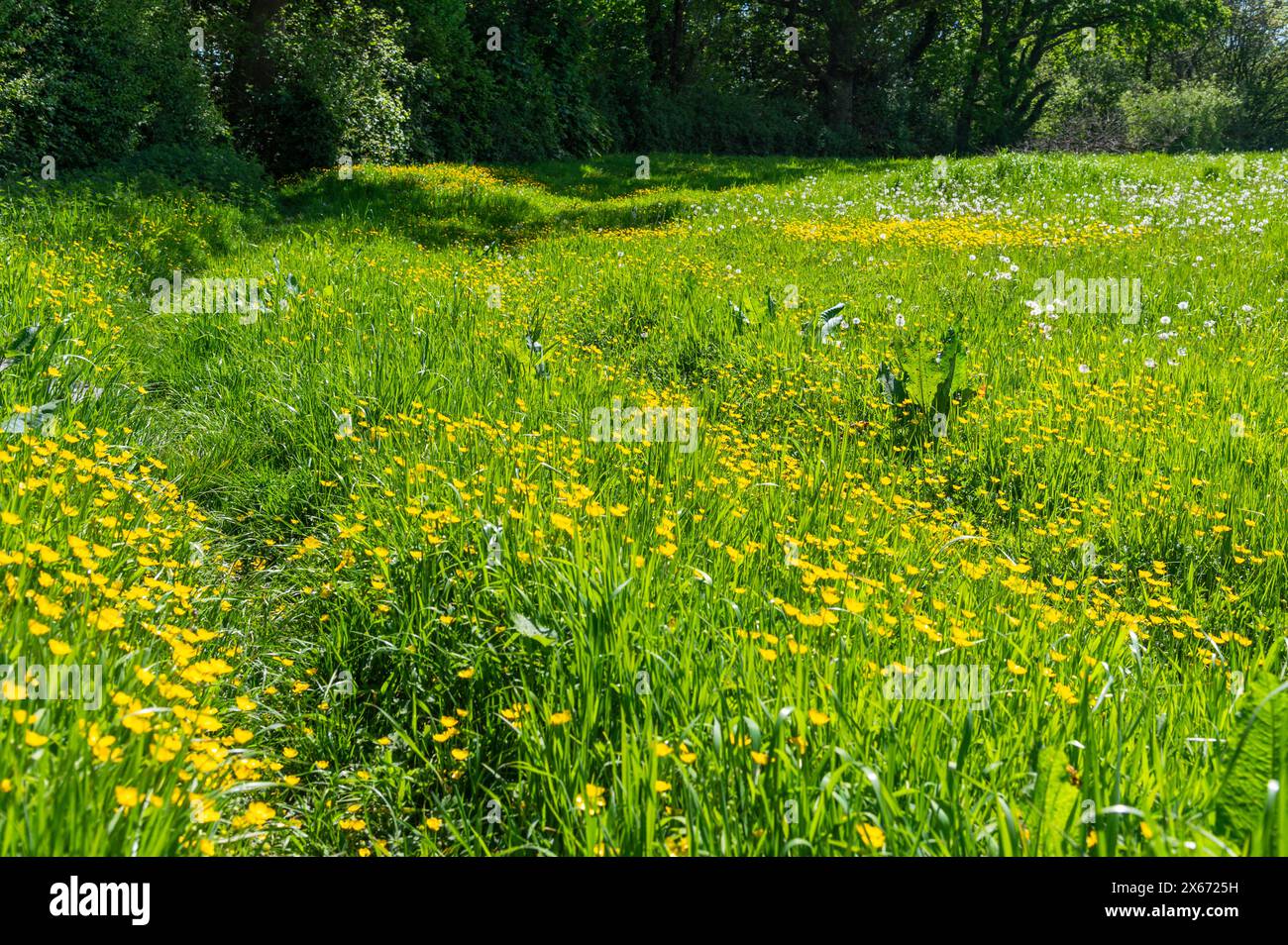 Old wifes threads hi-res stock photography and images - Alamy