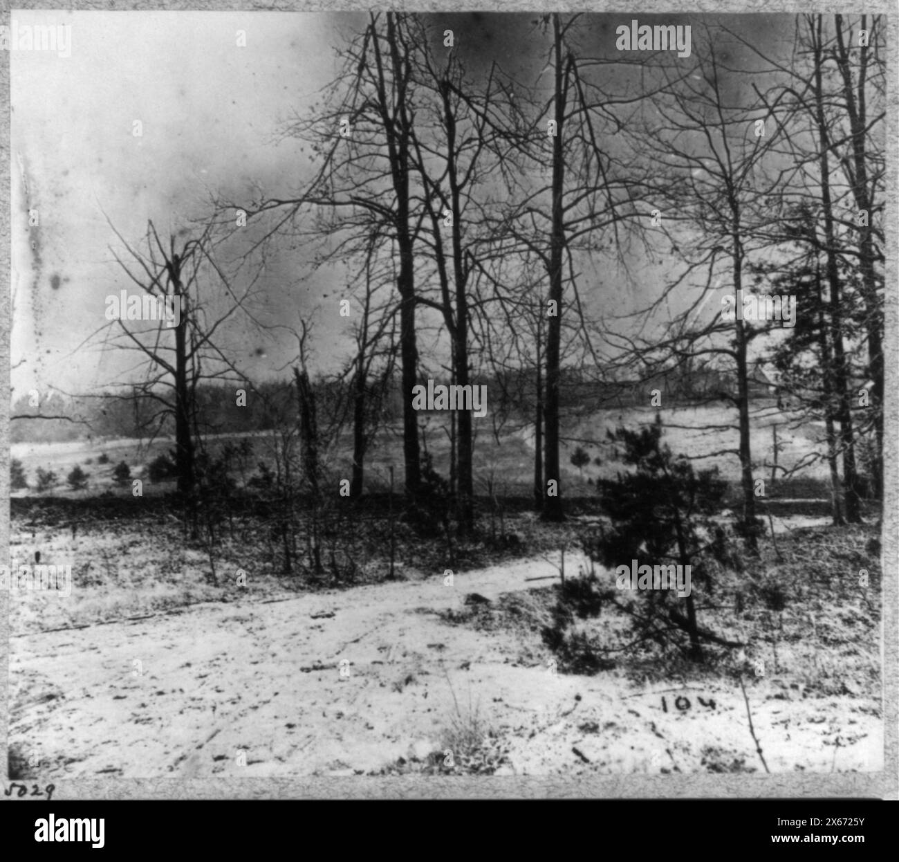 Views on the battlefield of morning of May 12th, 1864. Scene of capture ...
