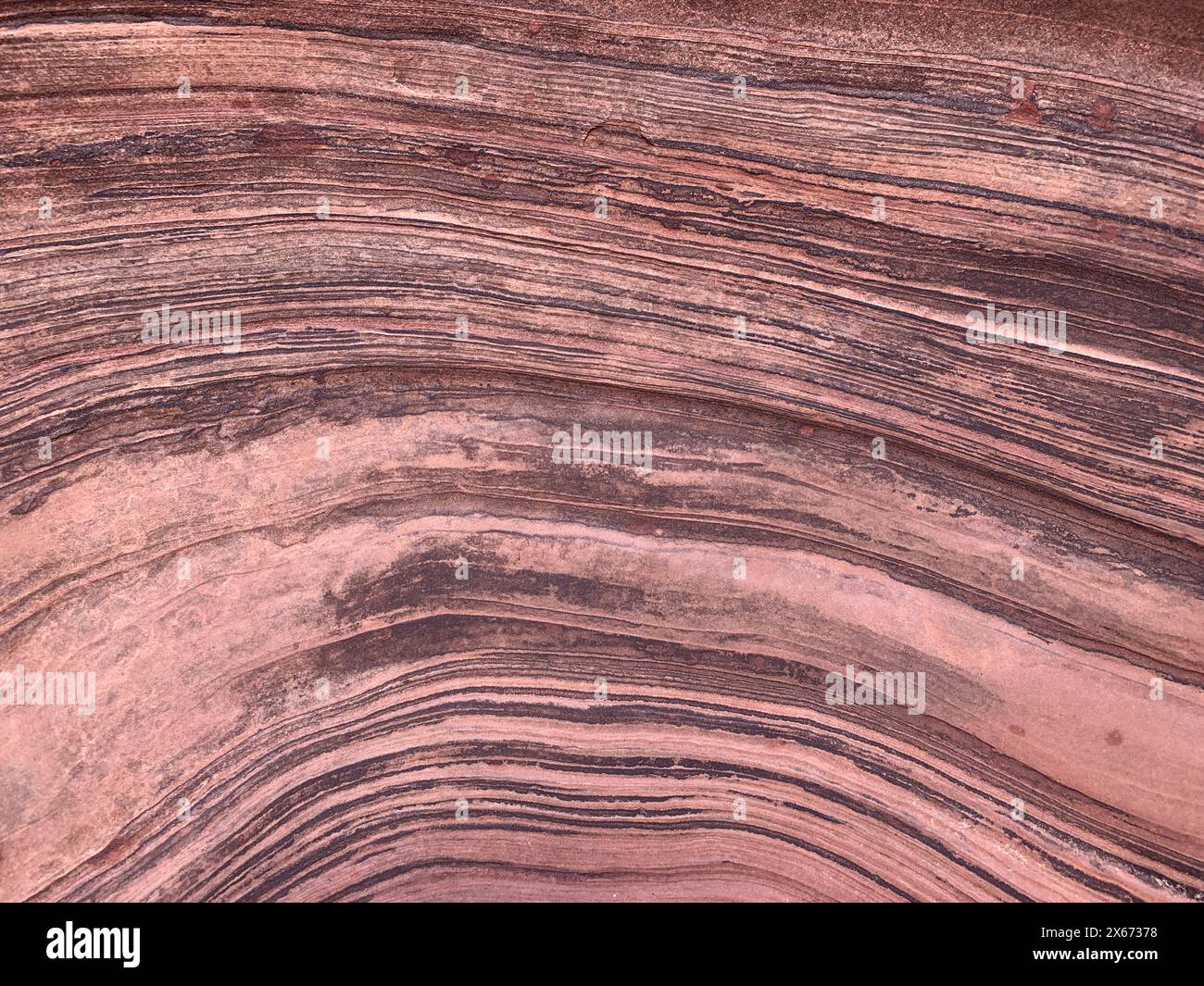 Close up of sandstone walls in Antelope Canyon show the eroded ...