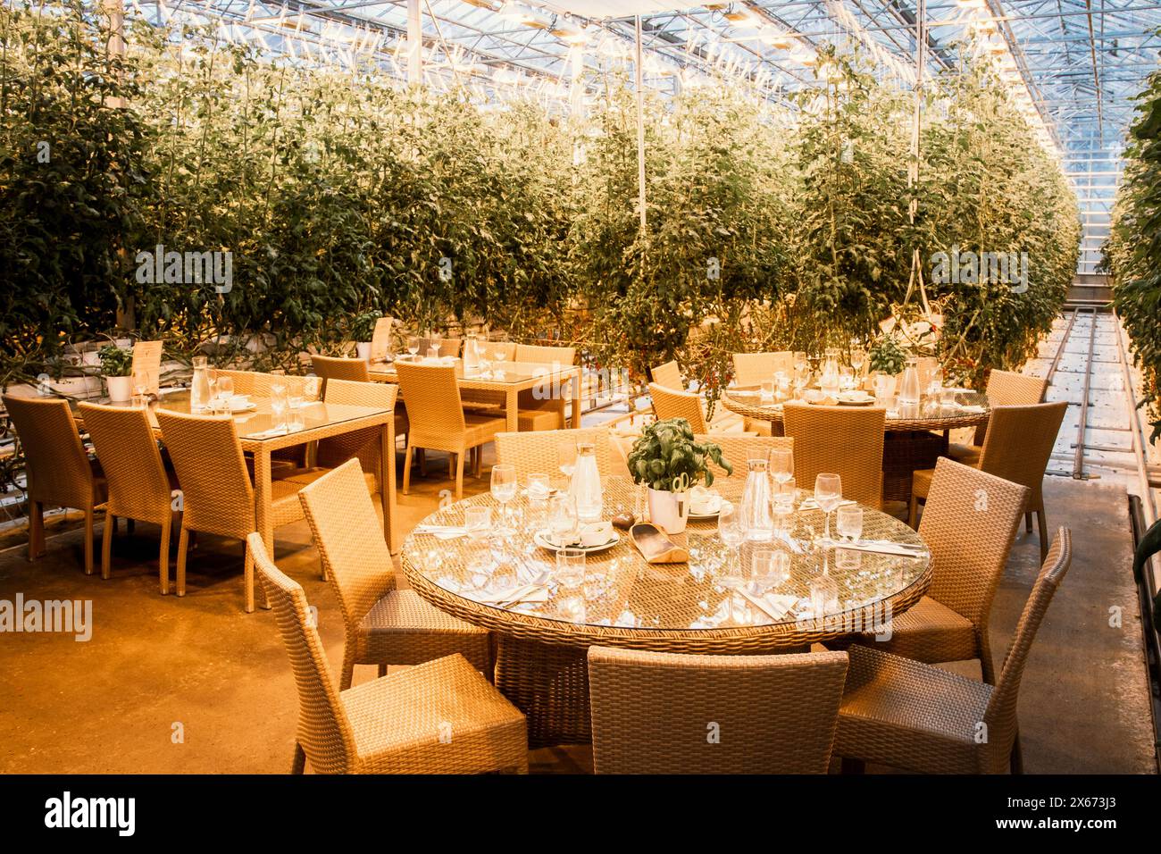 South Iceland-2nd march, 2023: reserved restaurant tables in popular ...