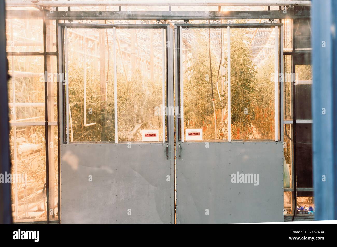 South Iceland-2nd march, 2023: Tomato greenhouse building from outside ...